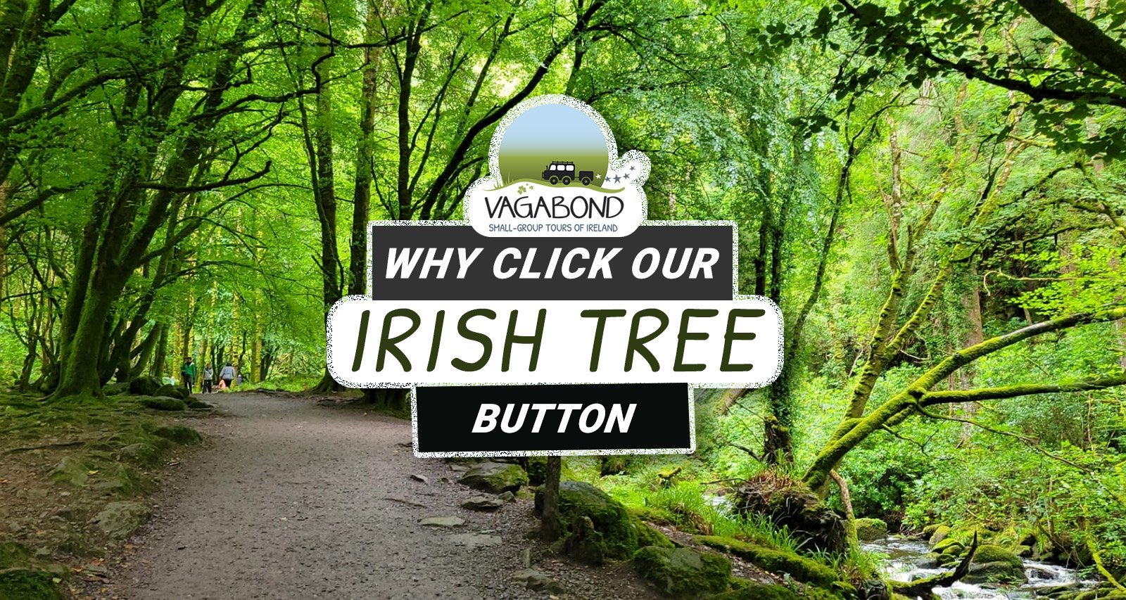 8 Benefits Of Clicking Our ‘Plant a Native Tree In Ireland’ Button